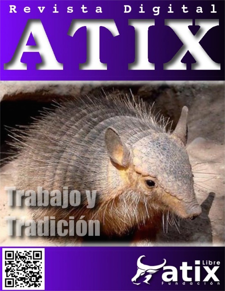 PDF de programación - atix21