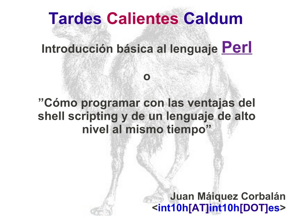 PDF de programación - Introducción básica al lenguaje Perl