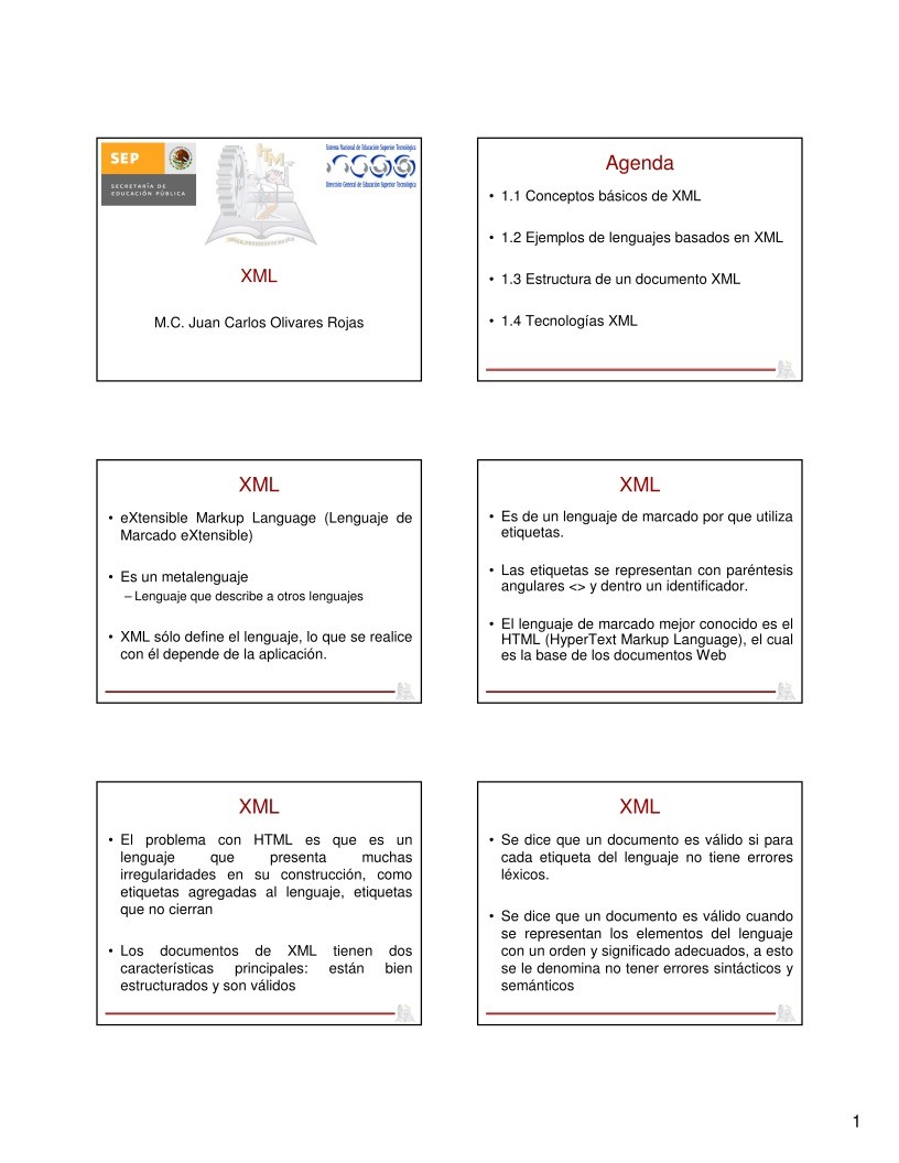 PDF de programación - XML