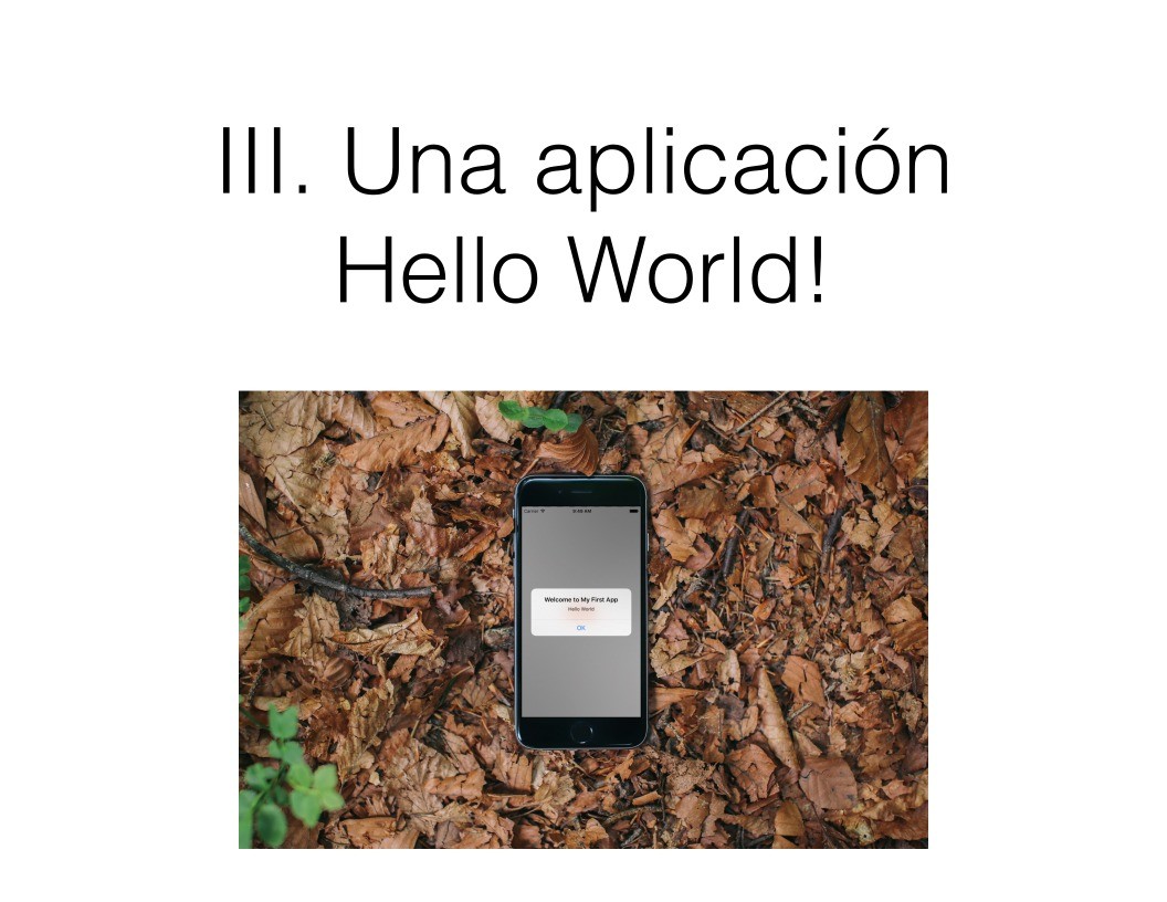 PDF de programación - III. Una aplicación Hello World!