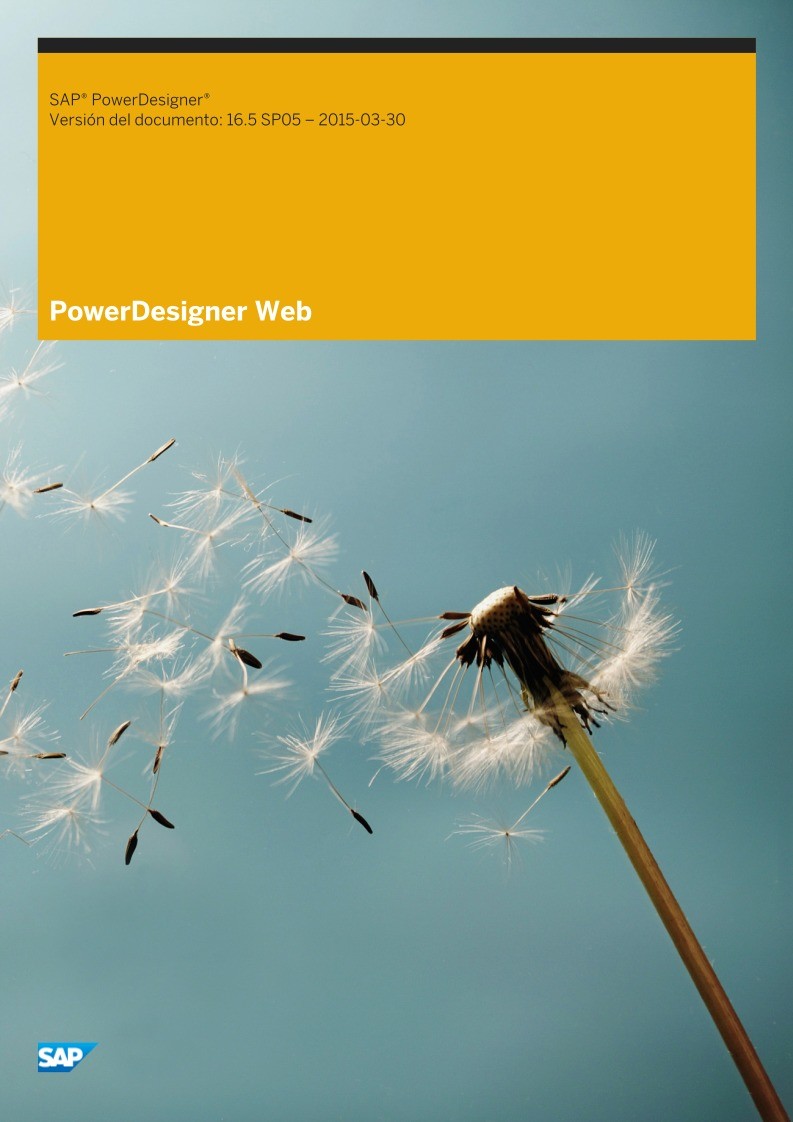 PDF de programación - SAP PowerDesigner