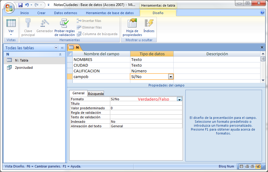 Access - Crear campo Boolean con propiedades