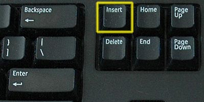 Dev - C++ - Dasactivar parpadeo del cursor